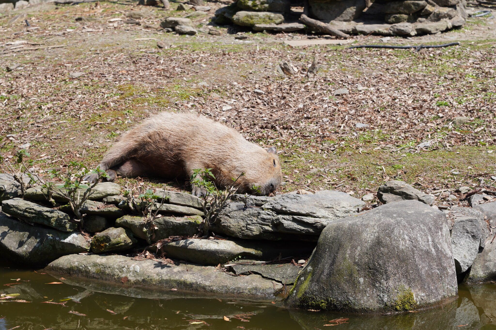Nagasaki Bio Park - Kintetsu KIE USA