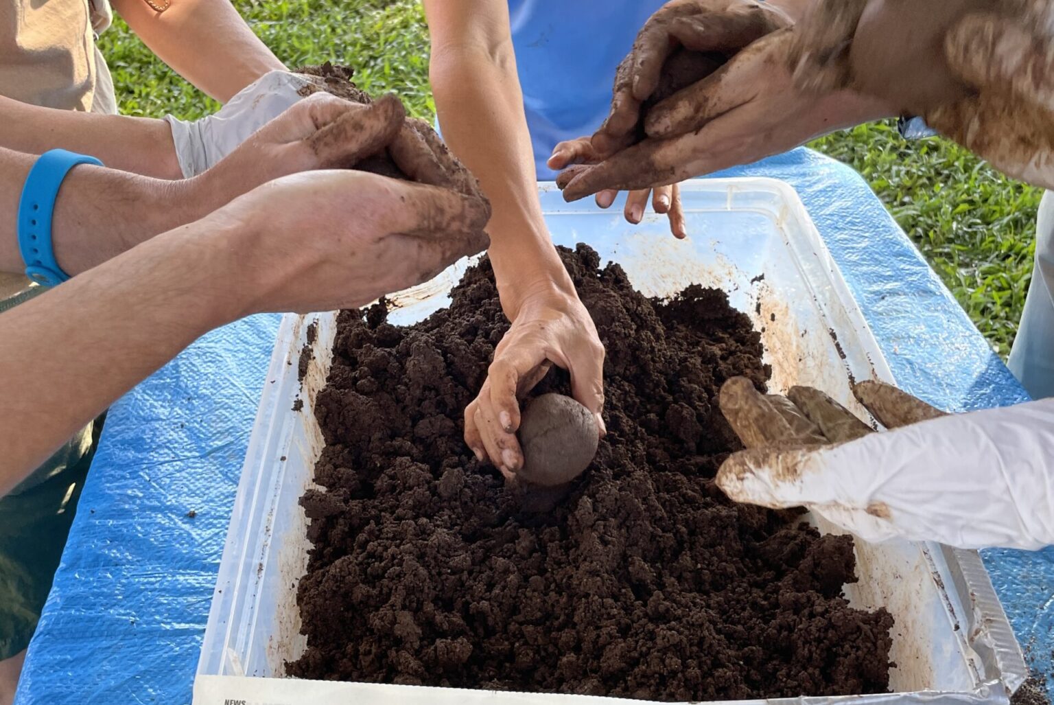 Genki Balls to Improve Water Quality in Hawaii’s Ala Wai Canal ...