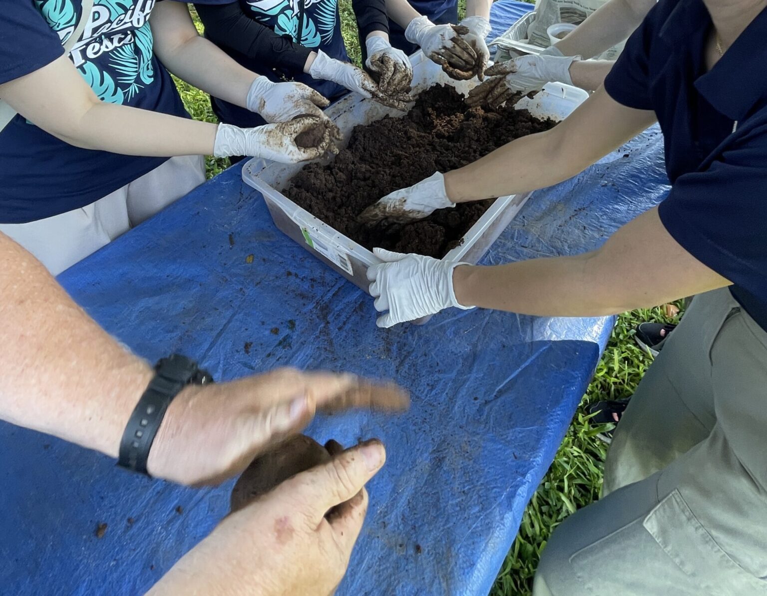Genki Balls to Improve Water Quality in Hawaii’s Ala Wai Canal ...